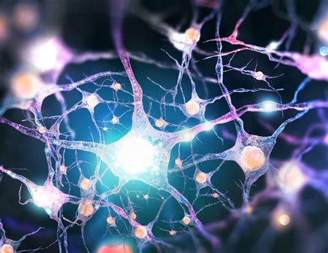 What Is Mononeuritis Multiplex