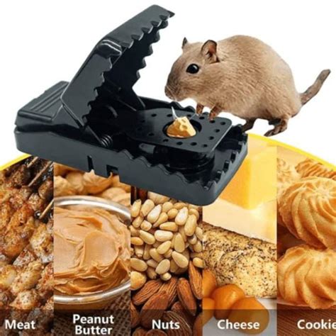 Kroymela Mouse Traps Mice Traps For House Small Mice Trap Indoor