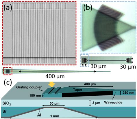 Figure 2 From Ultra Efficient Silicon On Insulator Grating Couplers With Backside Metal Mirrors