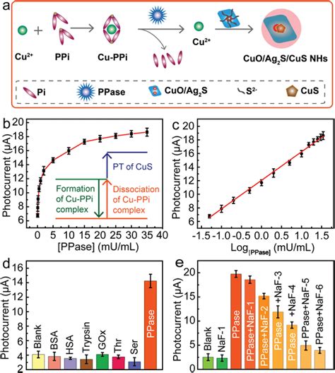 A Schematic Diagram Of A Ppase Biosensor Based On Pt‐promoted Pe