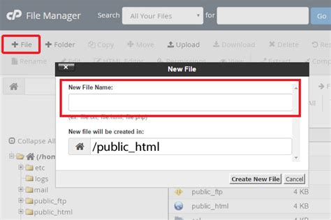 How To Use File Manager To Create A Website AfeesHost Ltd