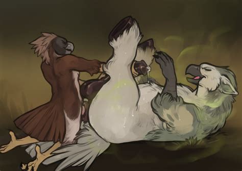 Rule 34 Accipitrid Accipitriform Anal Anal Sex Animal Genitalia Animal Penis Anthro Anthro On
