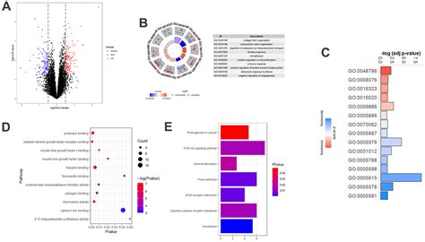 Identification And Validation Of Genetic Signature Associated With