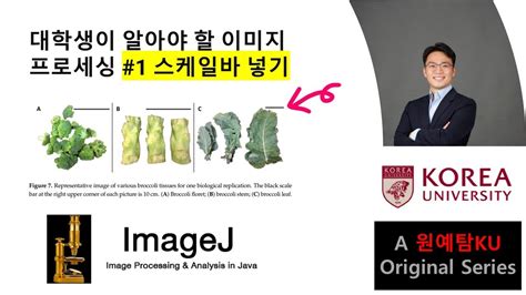 학부생과 대학원생이 알아야 할 이미지 프로세싱 1 Imagej Scale Bar Youtube