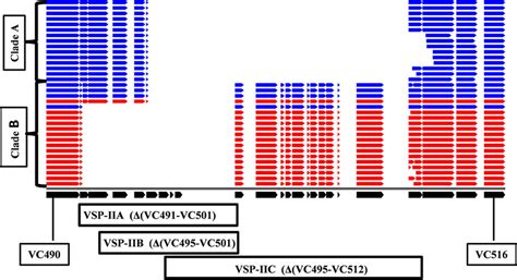 Genetic Organization Of Vsp Ii The Open Reading Frames Orfs Of The