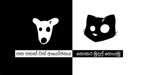 Airdrop හරියටම කරන ලංකාවෙ සෙට් එක 🇱🇰