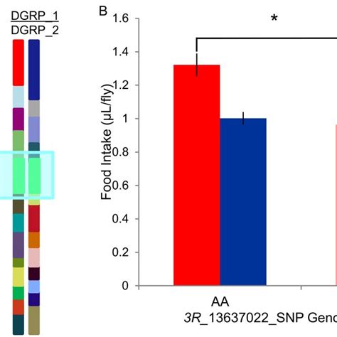 SNP Based Functional Validation A Mating Scheme For Generating Download Scientific Diagram