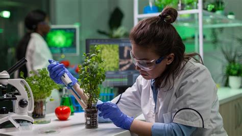 Los Mejores Memes Que Dej El D A De Los Bi Logos Y Las Bi Logas Infobae