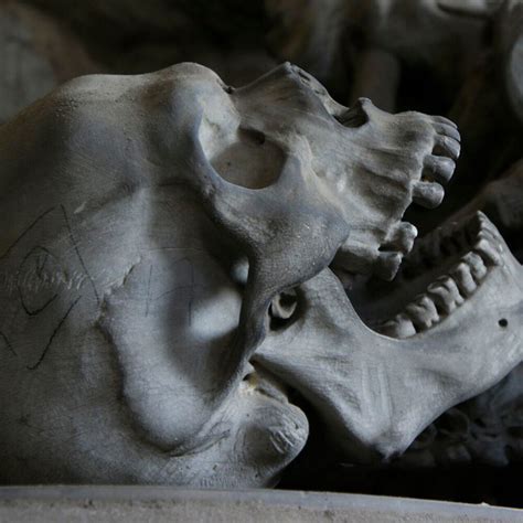 The Shape Of The Cochlea As An Indicator Of Sex