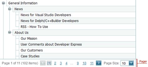Item Aspnet Web Forms Controls Devexpress Documentation