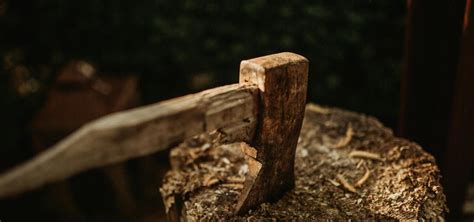 Xencor Axes Its Pipeline Lead Apexonco Clinical Trials News And Analysis