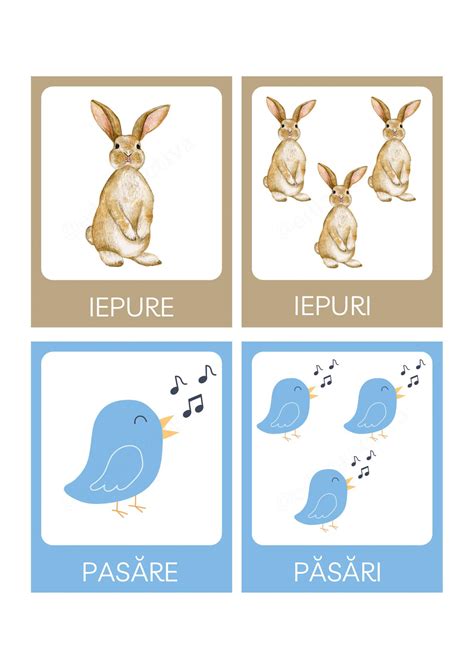 E Distractivă E Distractivă Added A New Photo