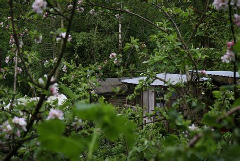 Passing Storms By Sarah S Frond And Feather