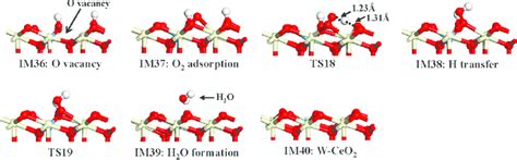 Calculated Structures Of The Intermediates And The Transition States In