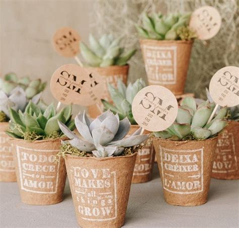 Las 5 Mejores Mini Plantas Para Regalar En Bodas