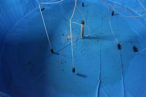 Biofloc Fish Culture System In India Biofloc Indoor Fish Farming