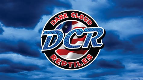 Python Perfection Inc Added A New Python Perfection Inc