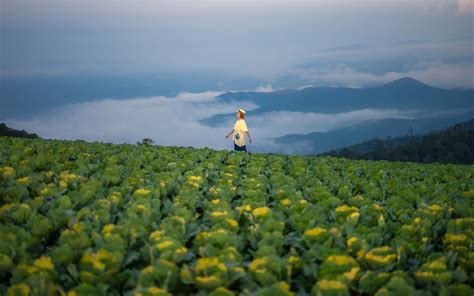 Classone รถตู้หรูพร้อมคนขับ And ถ่ายรูปส่วนตัว