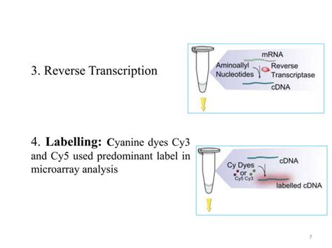 Dna Microarray Final Ppt Pptx