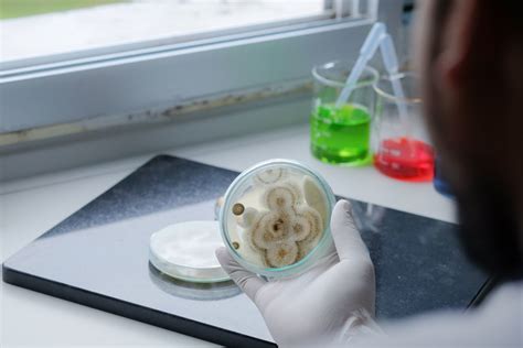 Are You Doing Weekly Spore Testing