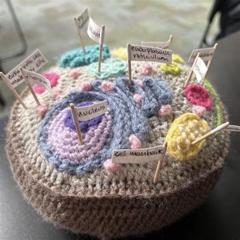 Fusion Academy On Linkedin Fusionacademy Personalizededu Creativeeducation Stemcrafts