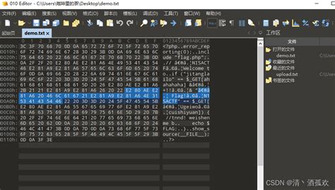 [nisactf 2022]checkin csdn博客