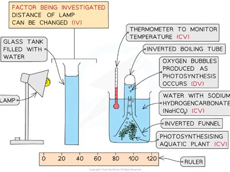 Factors Affecting Photosynthesis Required Practical Rpa Teaching Resources