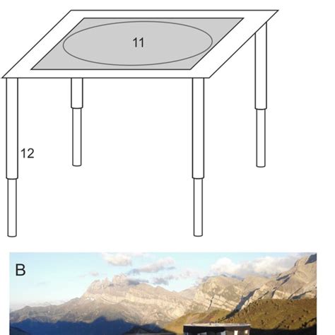 The Experimental Table A Schematic Drawing Of The Experimental Table Download Scientific
