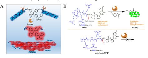 Figure 1 From Biosensors For The Detection Of Enzymes Based On