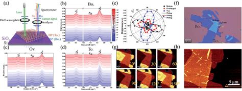 Polarization Dependence Of Raman Modes For Bp Under The Parallel