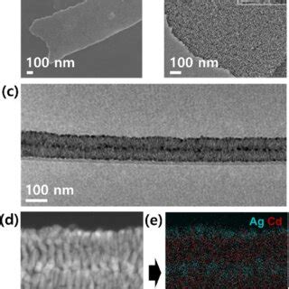 A SEM Image B TEM Image Cross Sectional C TEM Image D STEM Download Scientific