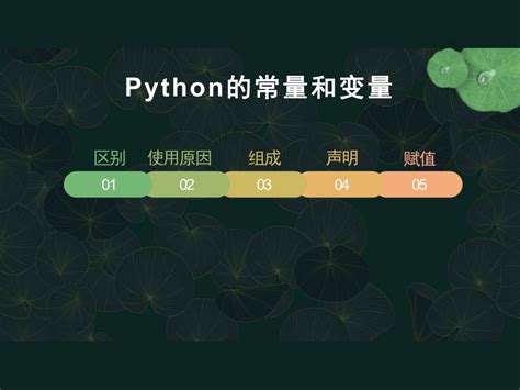 Python的常量与变量 课件 共 张PPT 学年高中信息技术粤教版 必修 世纪教育网 二一教育