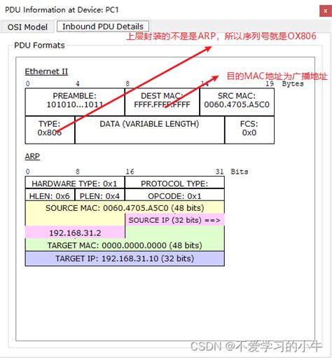 实验探究：以太网帧结构与ip通信追踪 csdn博客