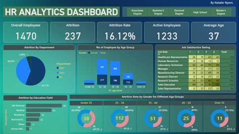 Professional Power Bi Data Analysis Dashboard Legiit