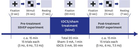 Schematic Overview Of The Experimental Paradigm Tdcs Transcranial Download Scientific