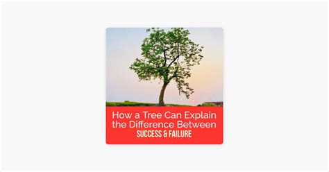 ‎the findfocus podcast why the pareto tree principle is responsible