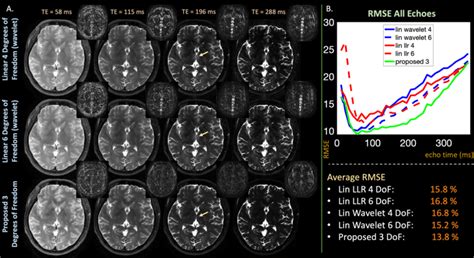 a exemplar reconstructed echo images and associated error maps from