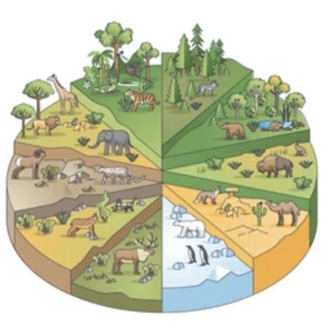Binomial System Of Nomenclature Zoologytalks 2025 Binomial System Of Nomenclature Zoologytalks 2025