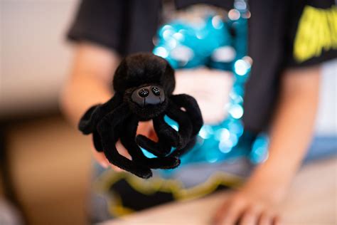 Play Learn Connect The Wellbeing Box The Drama Toolbox