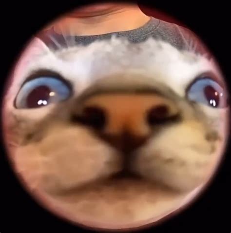 프레데터 애니메이션 신작 예고편 공개 Youtube