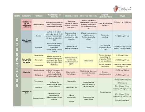 Fármacos Colinérgicos Definición Clasificación Y Mecanismos De Acción