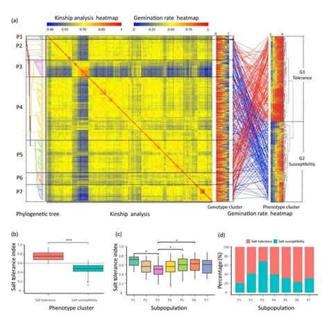Phenotypic Clusters And Genetic Population Structure And Their