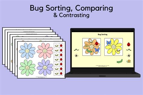 Bug Sorting Comparing And Contrasting Speech Therapy Ideas
