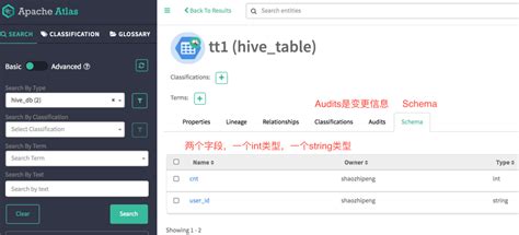 Apache Atlas元数据管理界面操作指南 墨天轮