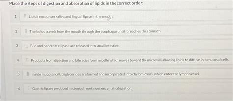 Solved Place The Steps Of Digestion And Absorption Of Lipids Chegg