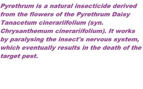 Pyrethrum Extract Pyrethrin At Best Price In Sarigam Id 2848964245191