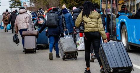 Чверть українських біженців у ЄС не планують повертатися в Україну Бізнес Цензор