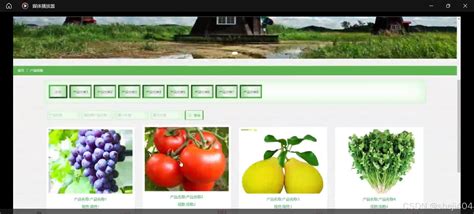 基于ssmvue邢台守敬农贸市场管理系统【开题程序论文】 计算机毕业设计 Csdn博客
