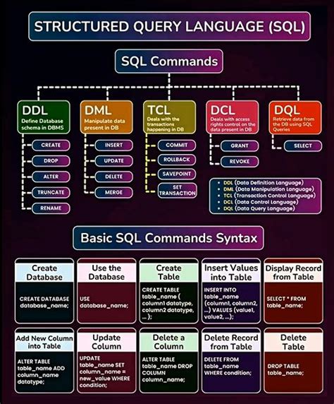 SQL In a Nutshell ! in 2024 | Sql, Learn sql, Computer science