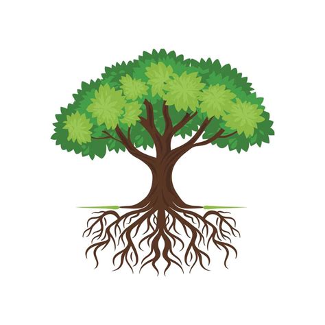 Tree With Roots Vector Illustration Vector Art At Vecteezy